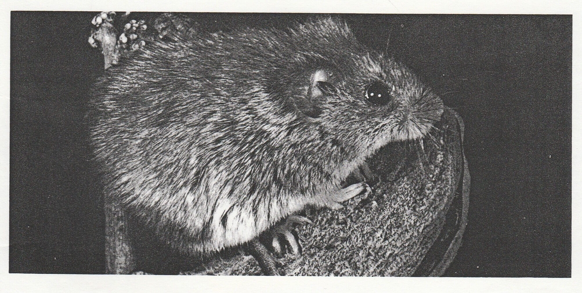 Vancouver 1984 – Bruce G Davis